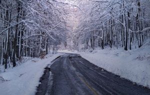 DOTY SCHOOL VOTE WARNING AND SAMPLE BALLOT | Town of Worcester, Vermont